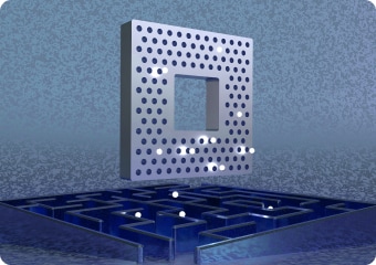 Navigating the Future OF AI